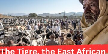 The Tigre people of Eritrea - Qiraat Africa