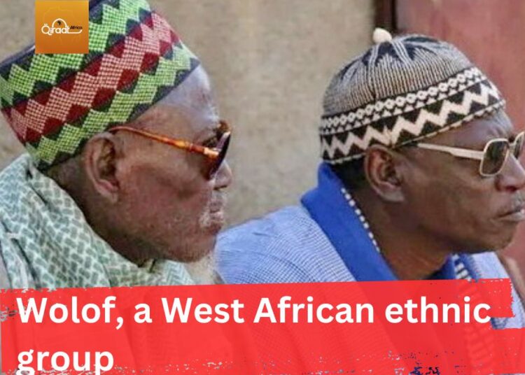 Afar, people of the Horn of Africa - Qiraat Africa